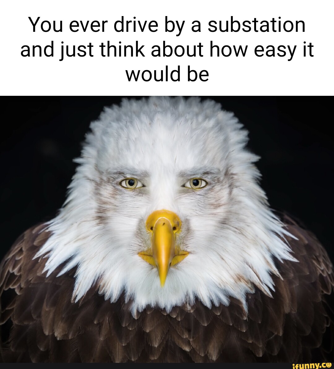 You ever drive by a substation and just think about how easy it would ...