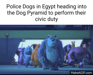 Police Dogs in Egypt heading into the Dog Pyramid to perform their ...