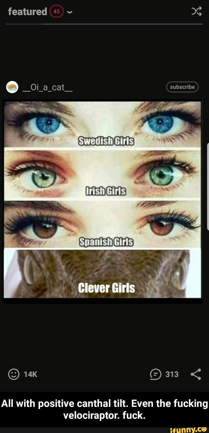 All with positive canthal tilt. Even the fucking velociraptor. fuck ...