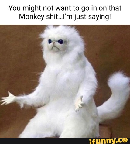 You might not want to go in on that Monkey shit...I'm just saying! - iFunny