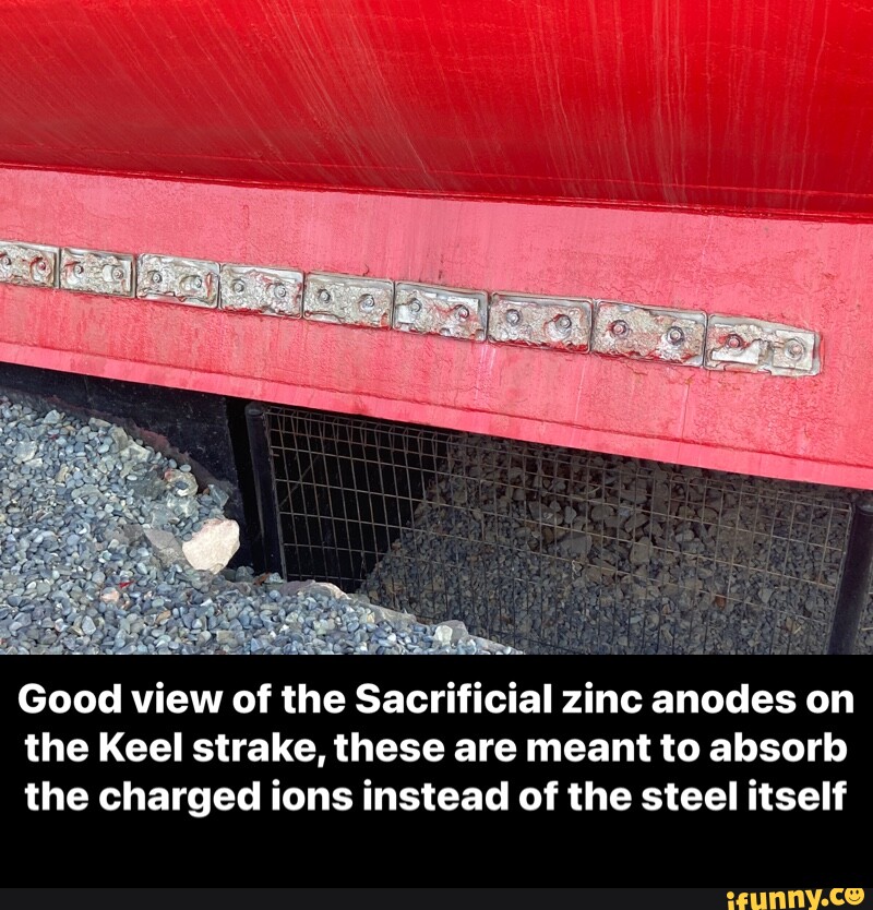 Zinc memes. Best Collection of funny Zinc pictures on iFunny