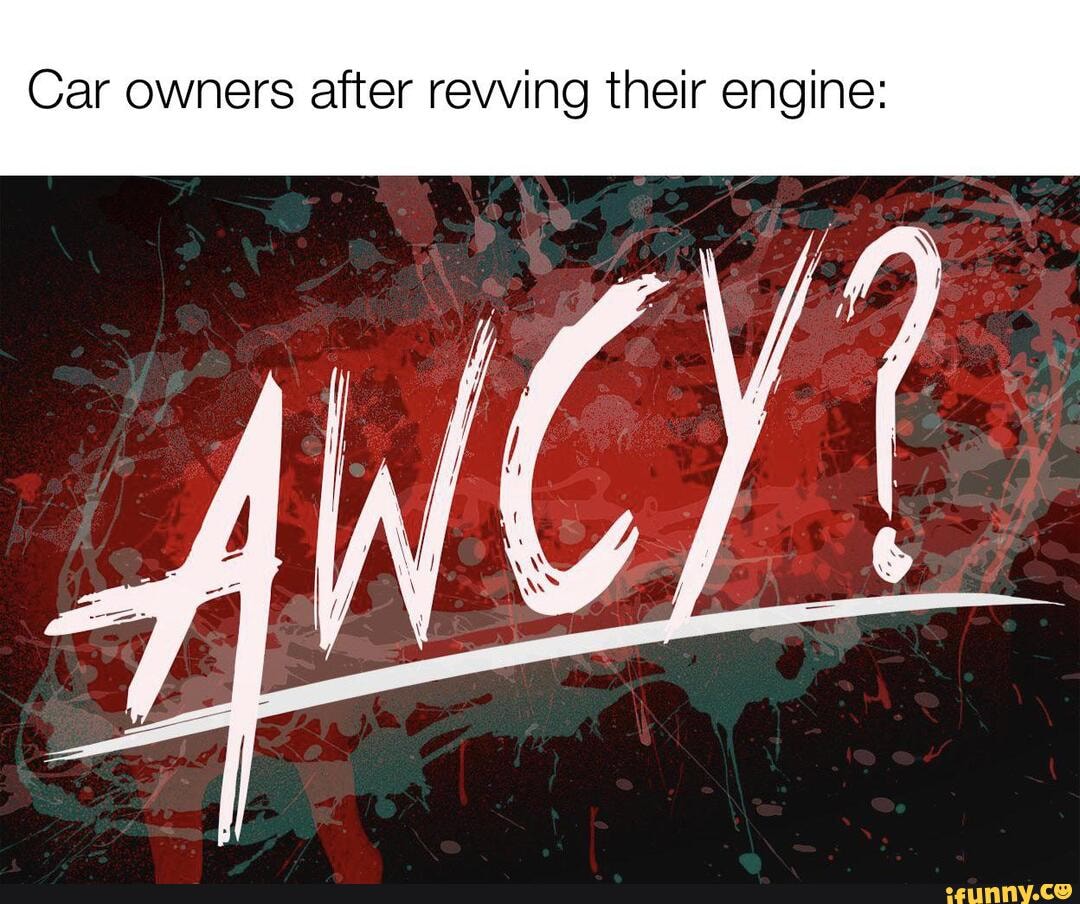 Car owners after revving their engine - iFunny