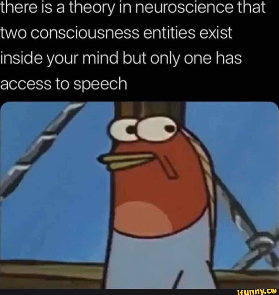 Neuroscience memes. Best Collection of funny Neuroscience pictures on ...