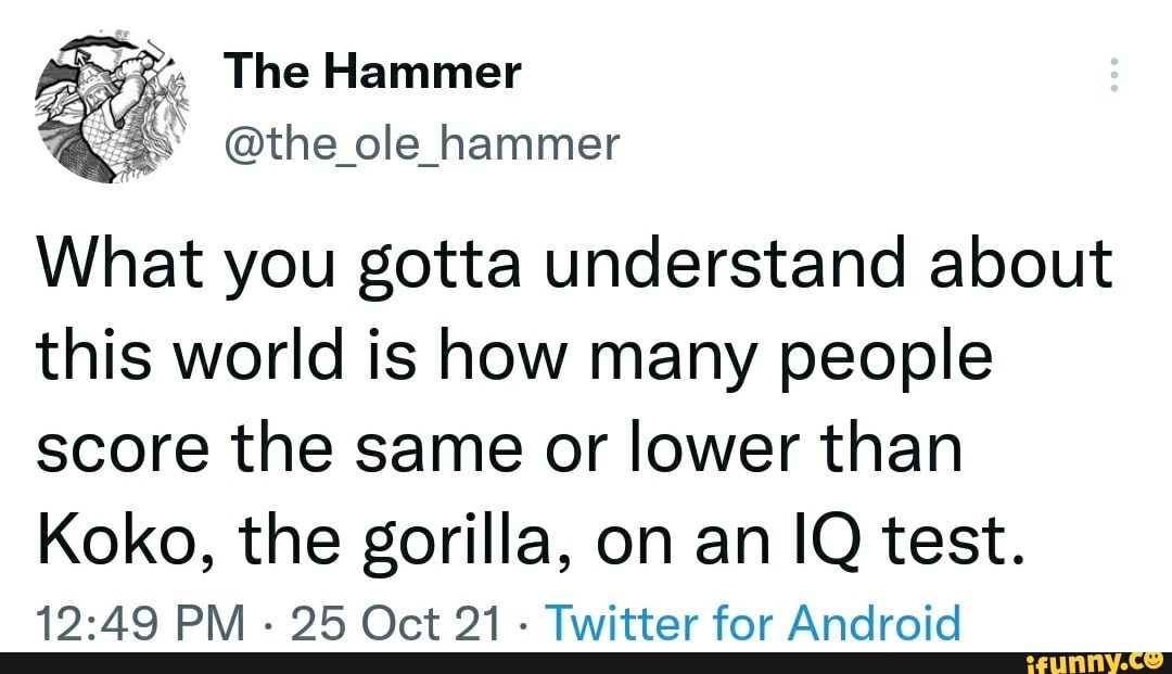 The Hammer @the ole hammer What you gotta understand about this world ...