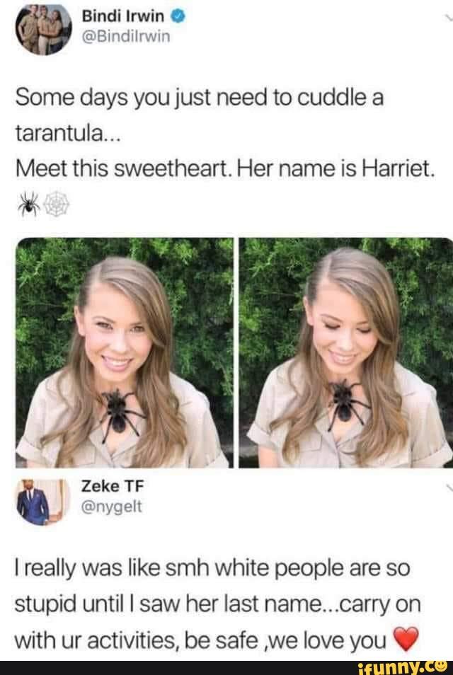 Some days you just need to cuddle a tarantula... Meet this sweetheart ...