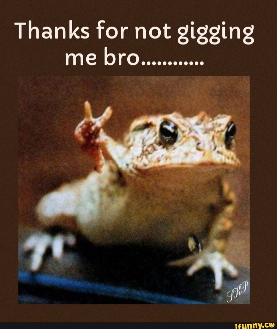 Gigging memes. Best Collection of funny Gigging pictures on iFunny