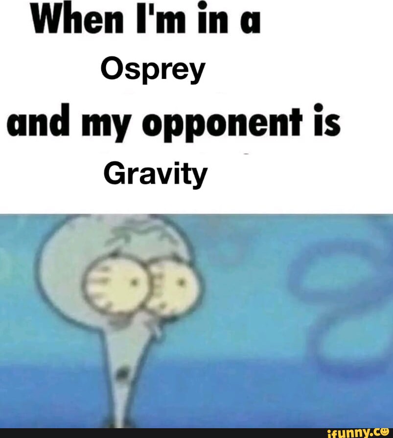 Osprey memes. Best Collection of funny Osprey pictures on iFunny