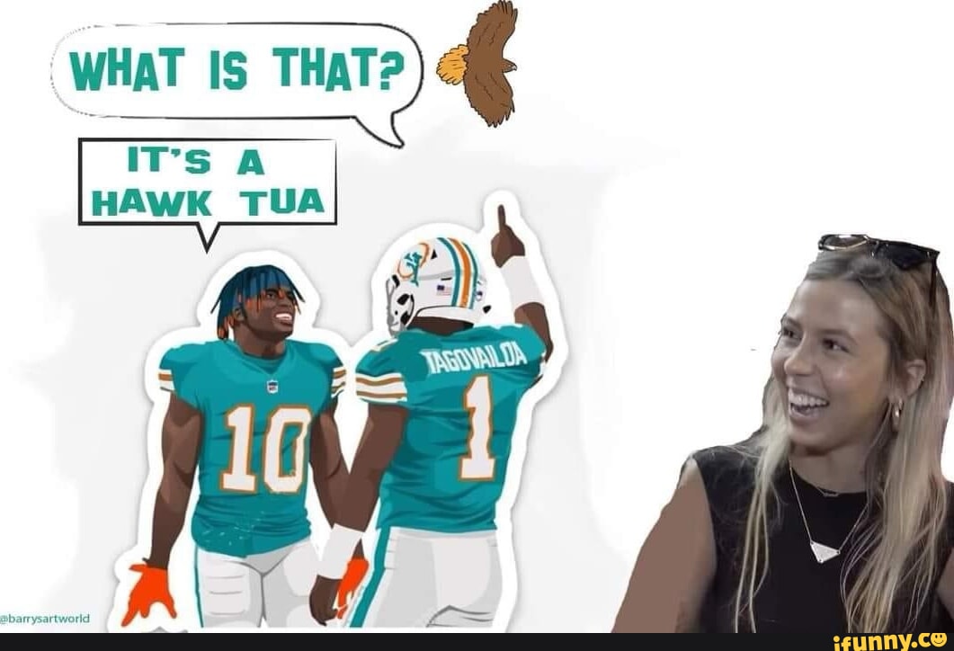 WHAT IS THAT? IT'S A HAWK TUA - iFunny