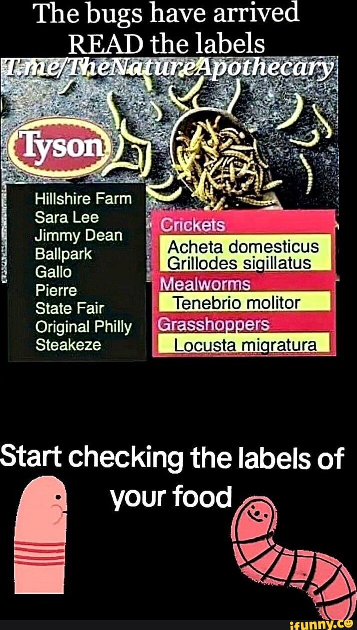 Ballpark memes. Best Collection of funny Ballpark pictures on iFunny