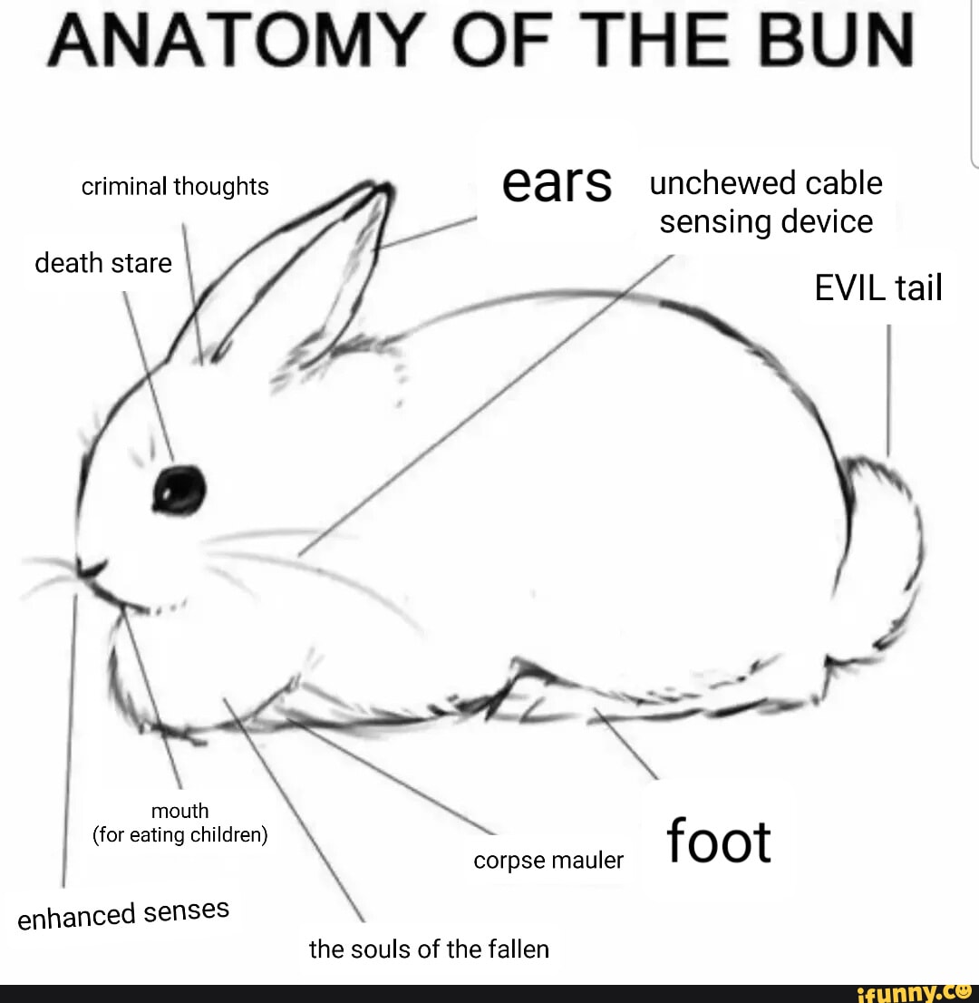 ANATOMY OF THE BUN CarS unchewed cable sensing device EVIL tail ...