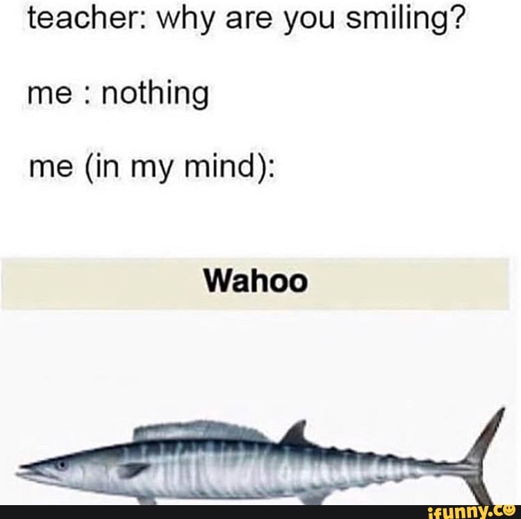 Wahoo memes. Best Collection of funny Wahoo pictures on iFunny