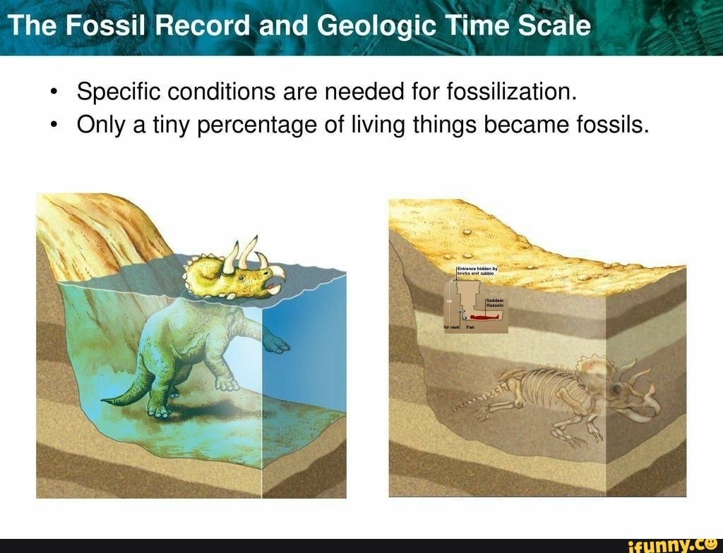 Fossilization memes. Best Collection of funny Fossilization pictures on ...