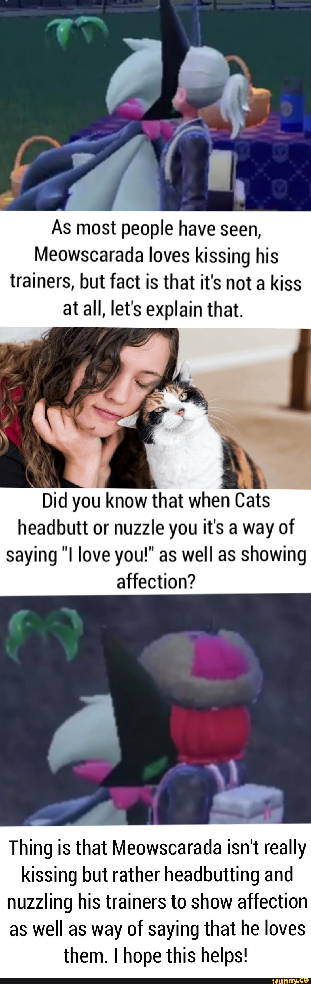 As most people have seen, Meowscarada loves kissing his trainers, but ...
