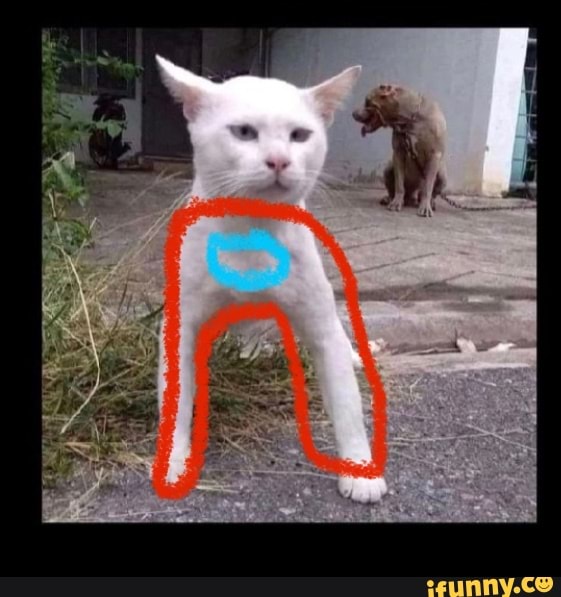 Mogus memes. Best Collection of funny Mogus pictures on iFunny