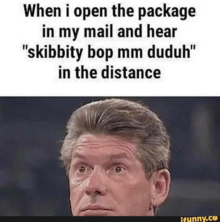 Skibbity memes. Best Collection of funny Skibbity pictures on iFunny