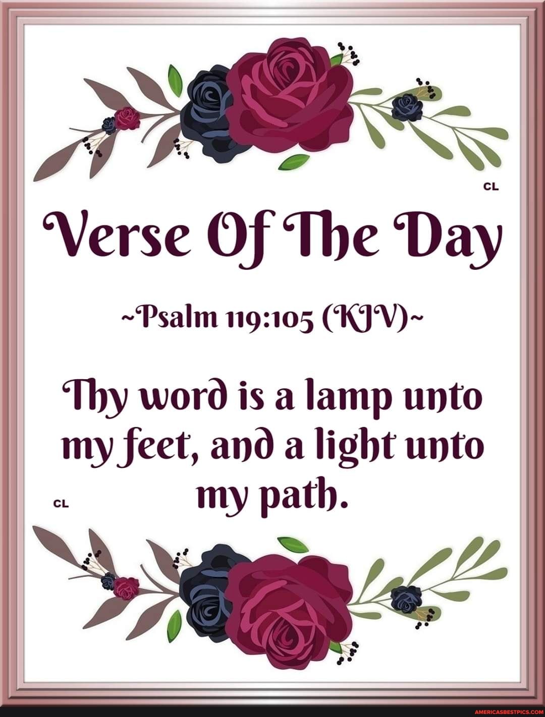 Verse Of The Day ~Psalm (KJV)~ Thy word is a lamp unto my feet, and a ...