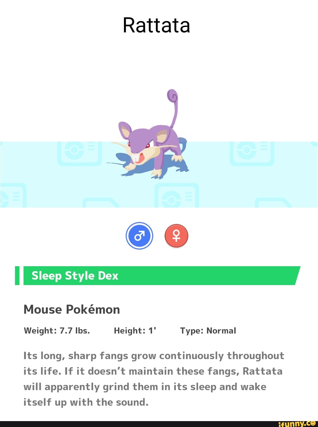 Rattata memes. Best Collection of funny Rattata pictures on iFunny