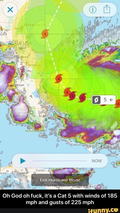 Cat5 memes. Best Collection of funny Cat5 pictures on iFunny