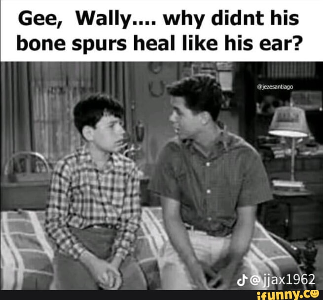 Gee, Wally.... why didnt his bone spurs heal like his ear? jax 1962 ...