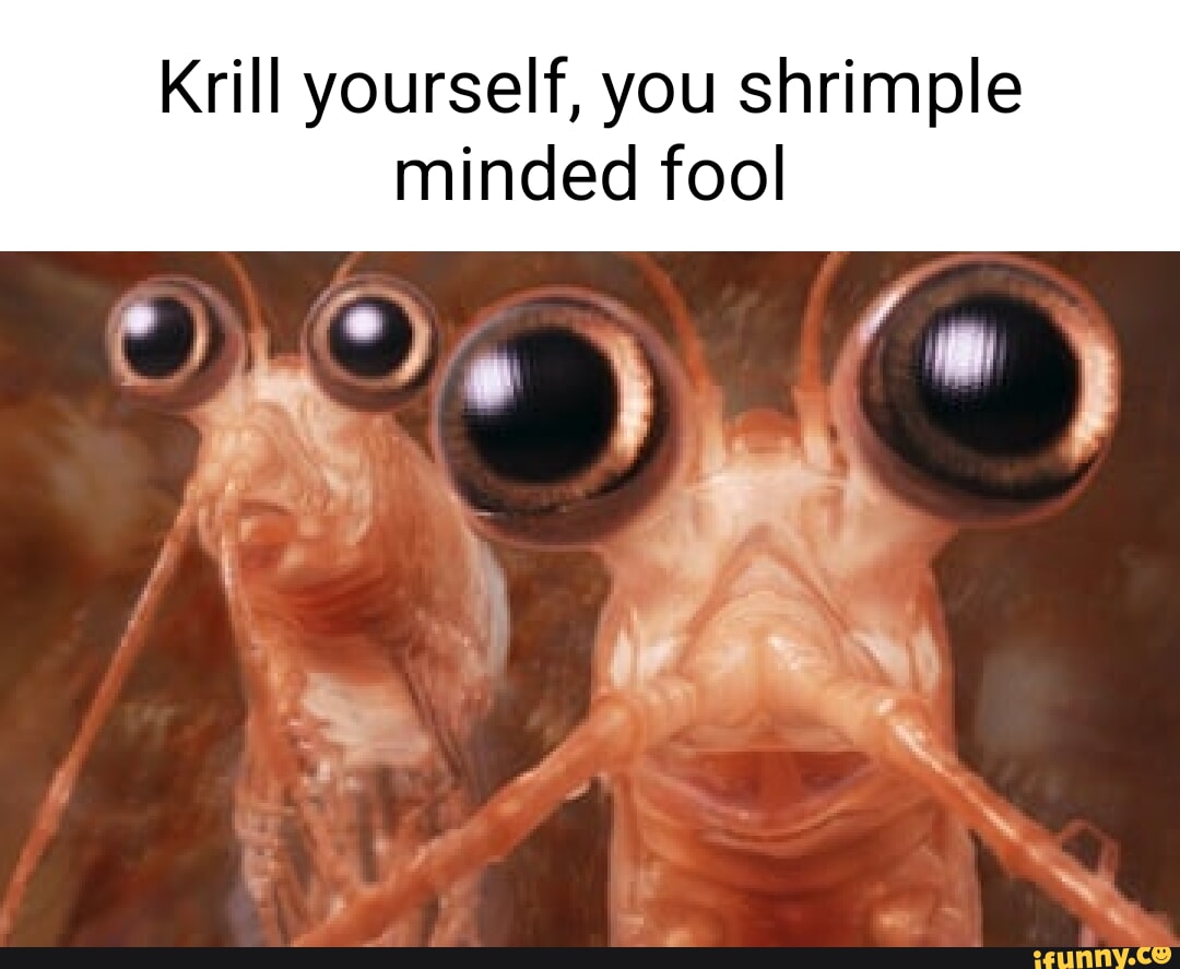 Pun memes. Best Collection of funny Pun pictures on iFunny