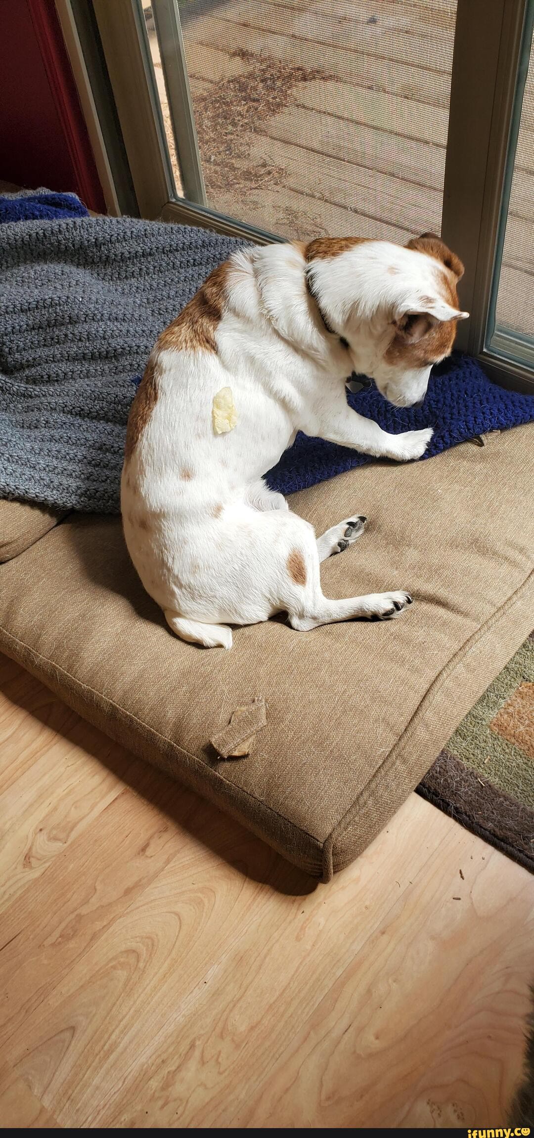 Snack_time memes. Best Collection of funny Snack_time pictures on iFunny