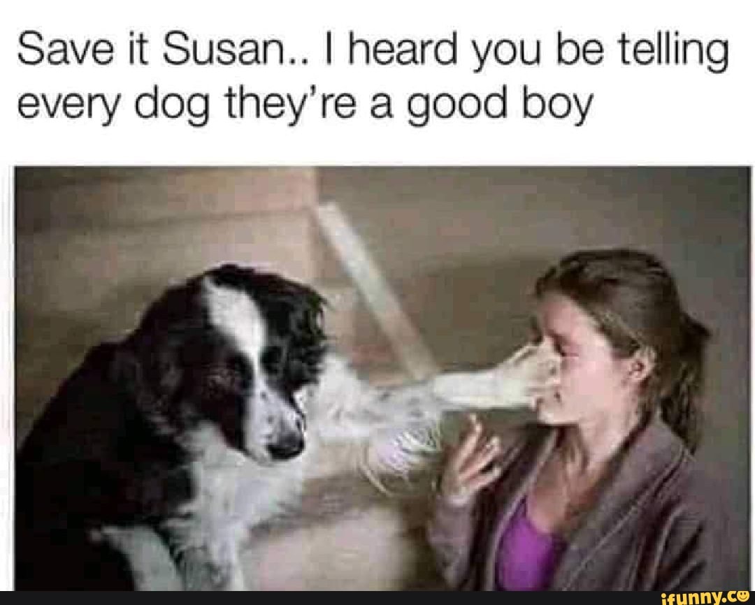 Save it Susan.. I heard you be telling every dog they're a good boy ...