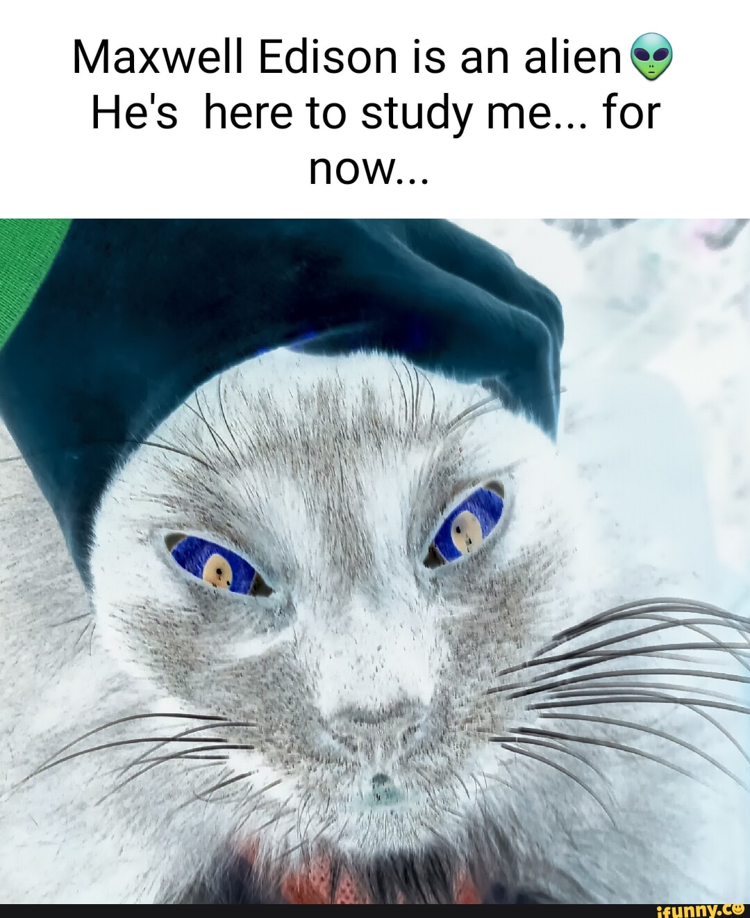 Maxwell Edison is an alien He's here to study me... for now... - iFunny