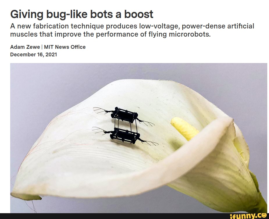 Giving bug-like bots a boost A new fabrication technique produces low ...