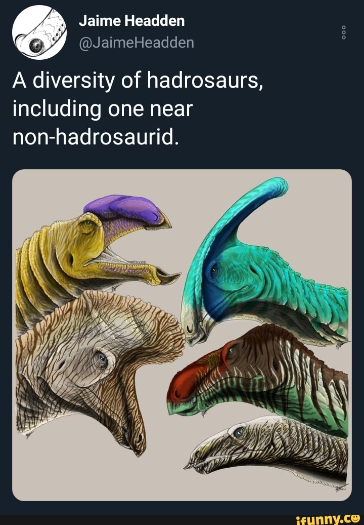 Hadrosaurid memes. Best Collection of funny Hadrosaurid pictures on iFunny