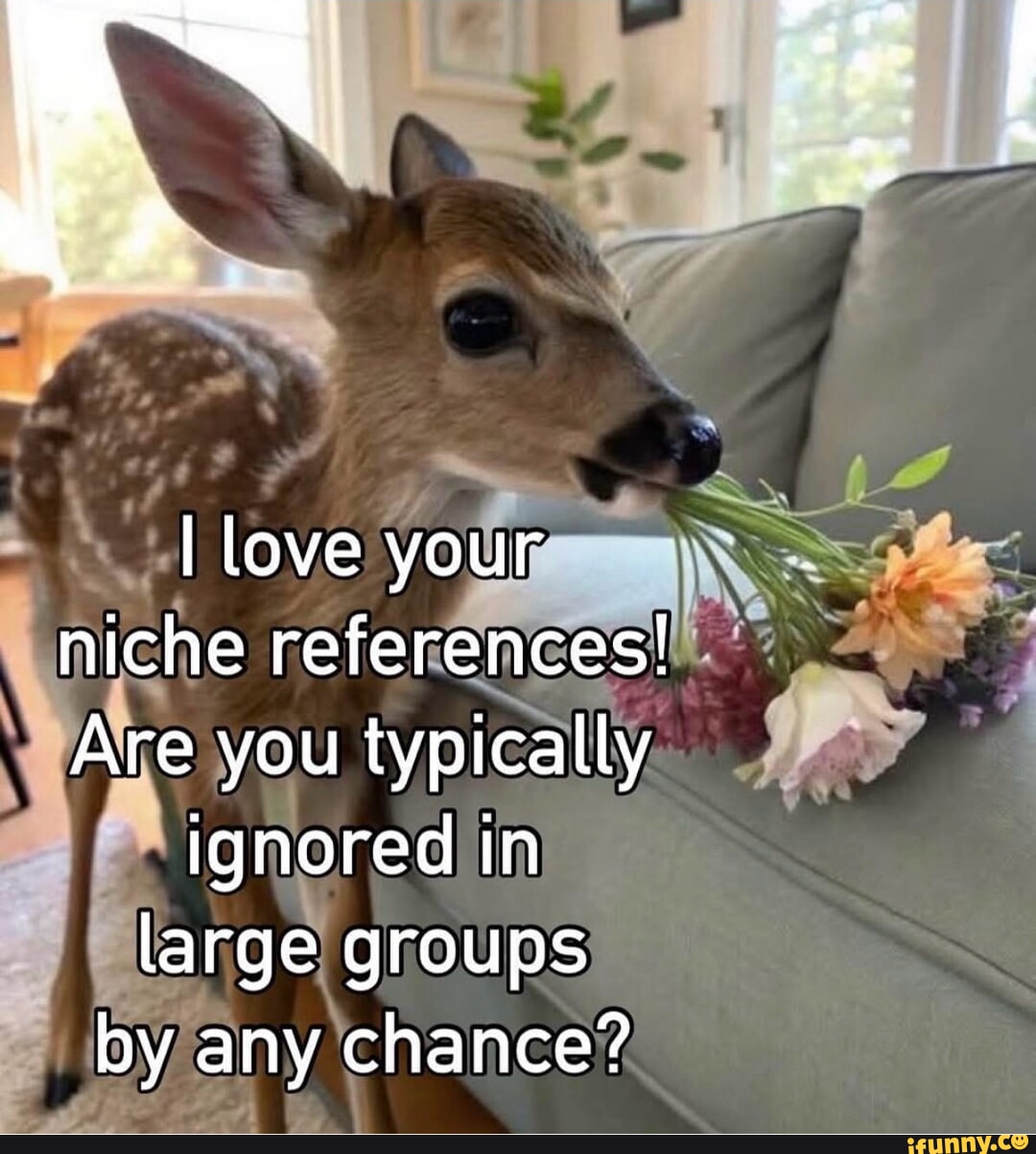 I love your niche references! Are you typically Ignored in large groups ...