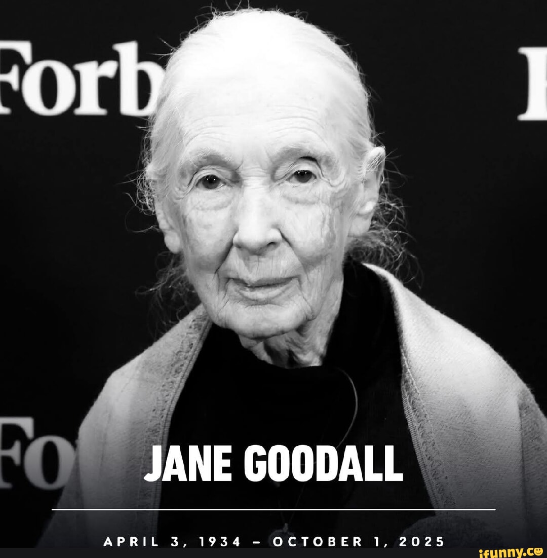 JANE GOODALL APRIL 3, 1934 OCTOBER 1, 2025 - iFunny