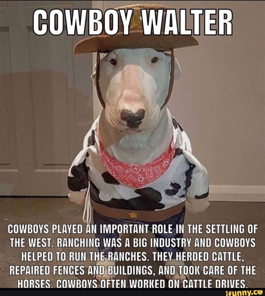 Cattleman Memes