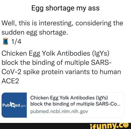 Egg shortage my ass Well, this is interesting, considering the sudden egg shortage. Chicken Egg ...