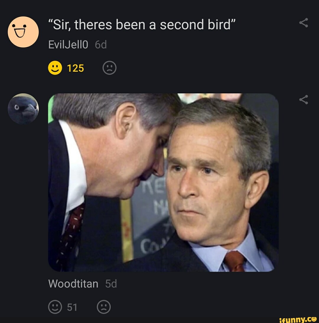 "Sir, theres been a second bird" EvilJell0 Woodtitan em - iFunny