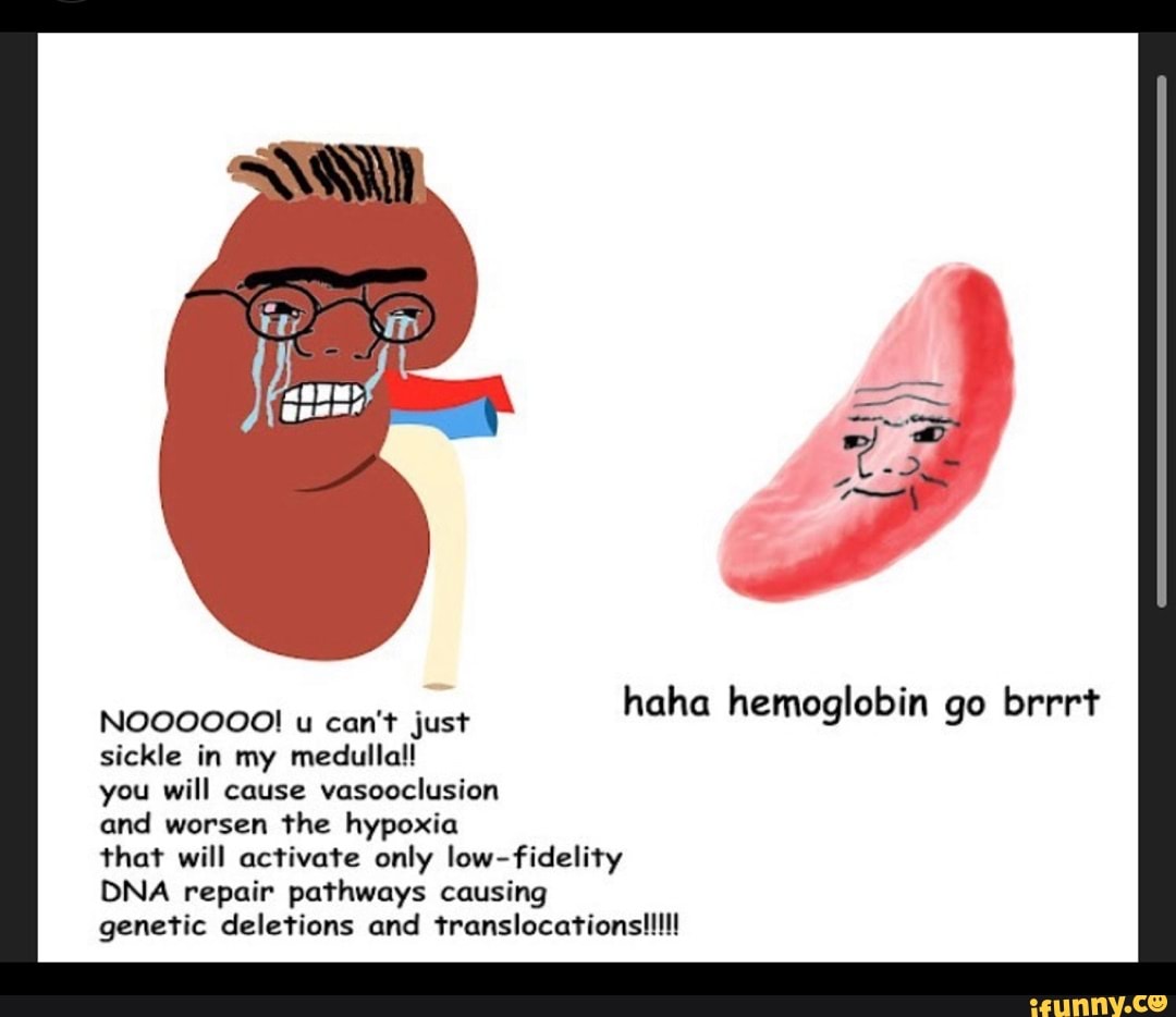 Vasooclusion memes. Best Collection of funny Vasooclusion pictures on ...