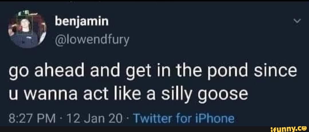 Pond memes. Best Collection of funny Pond pictures on iFunny