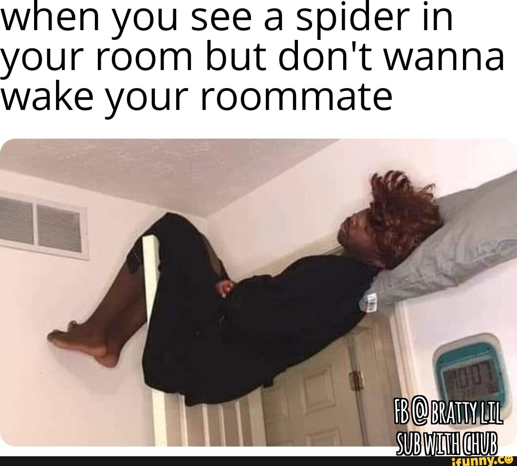 When you see a spider in your room but don't wanna wake your roommate ...