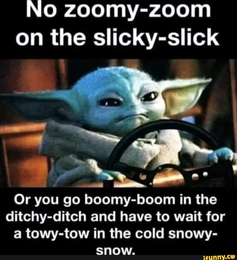 Zoomy memes. Best Collection of funny Zoomy pictures on iFunny
