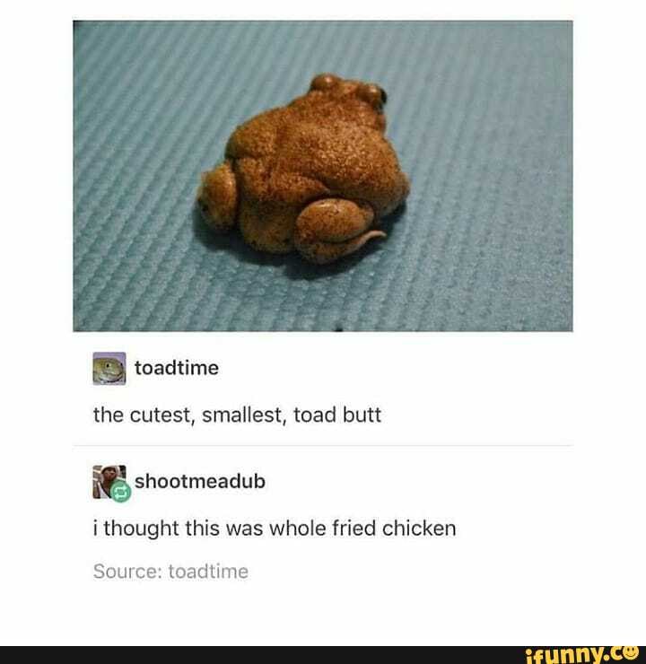 8 toadtime the cutest, smallest, toad butt i thought this was whole ...