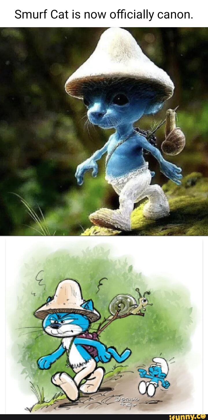 Smurf Cat Mania: Why We Love It
