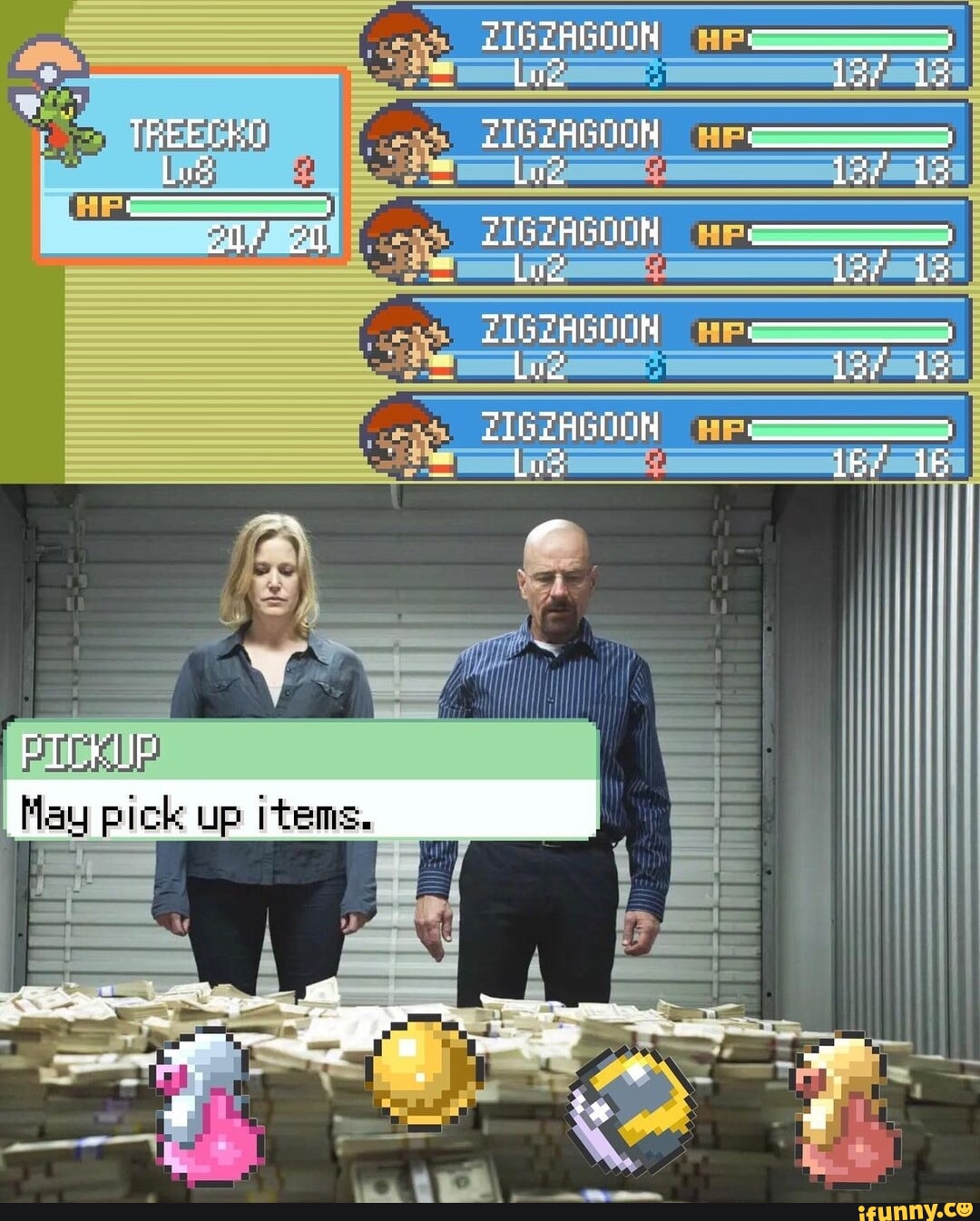 ZIGZAGOON ZIGZAGOON May pick up items. - iFunny