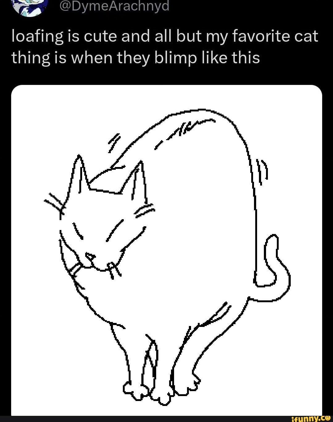 Blimp memes. Best Collection of funny Blimp pictures on iFunny