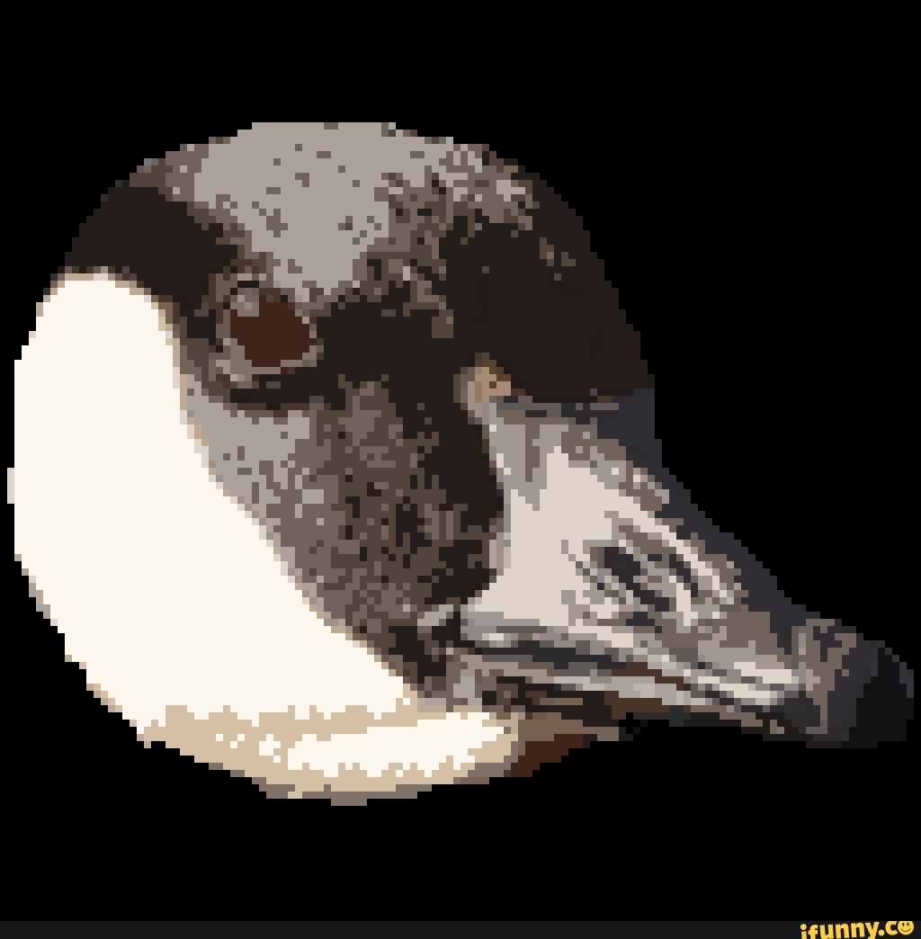 Zonk memes. Best Collection of funny Zonk pictures on iFunny