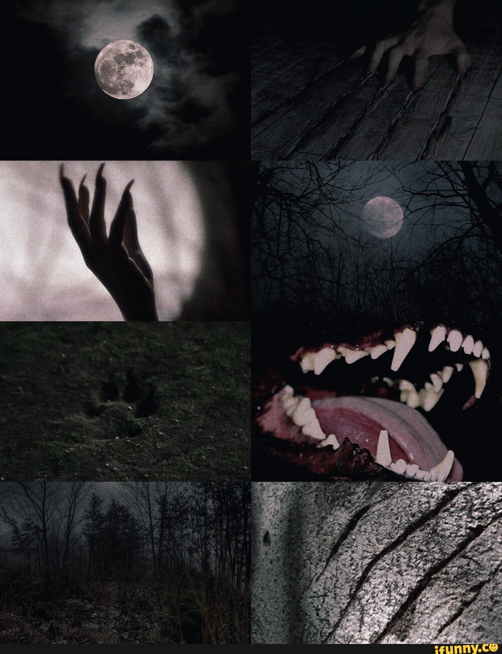 Werewolfaesthetic memes. Best Collection of funny Werewolfaesthetic ...