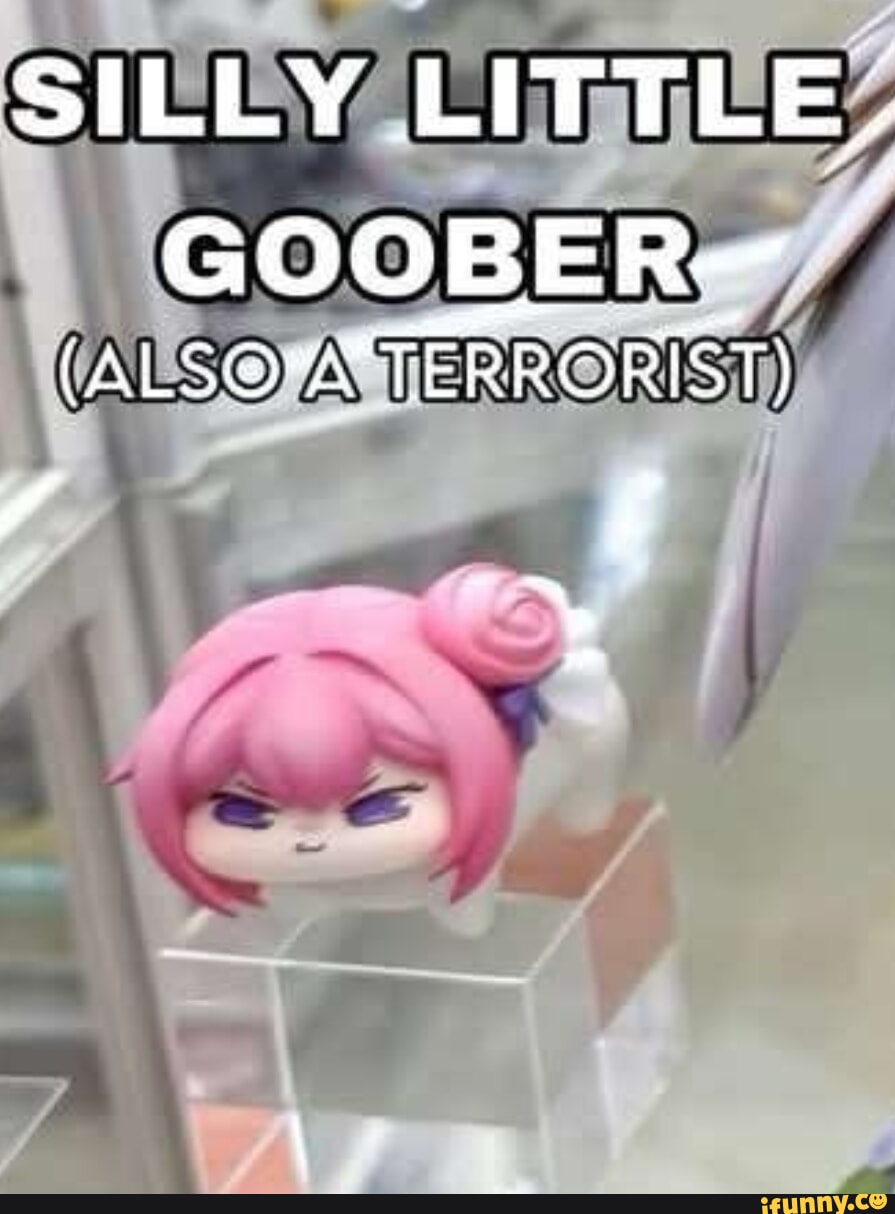 SILLY LITTLE. GOOBER- (AL TERRORIST) - iFunny