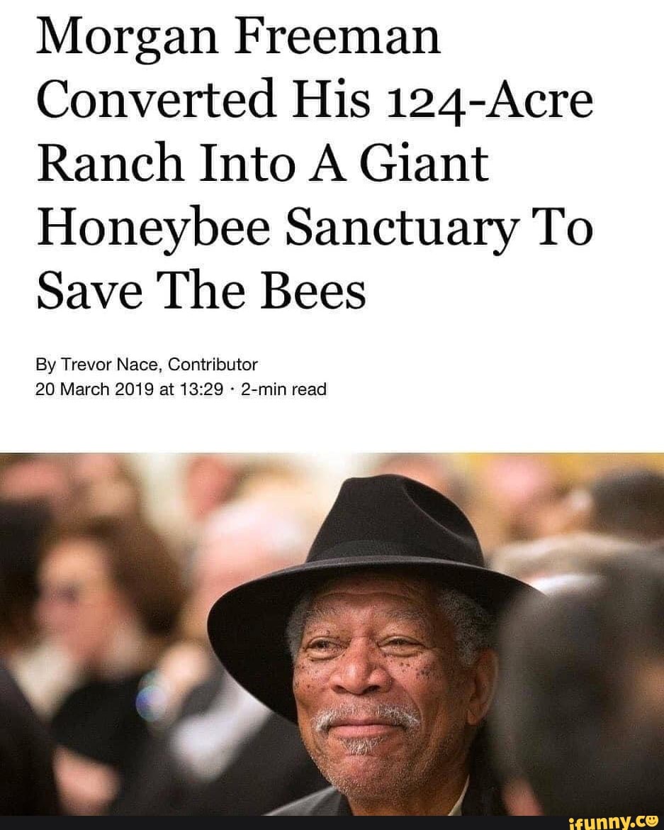 Morgan Freeman Converted His 124-Acre Ranch Into A Giant Honeybee ...