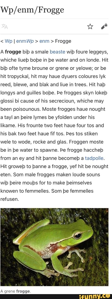 Tropyckal memes. Best Collection of funny Tropyckal pictures on iFunny