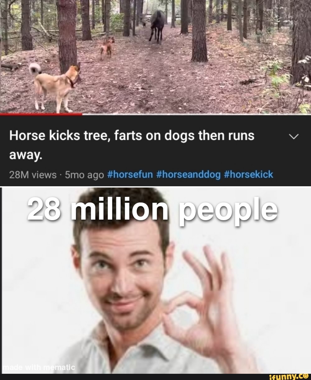 Horse kicks tree, farts on dogs then runs away. views Smo ago #horsefun ...