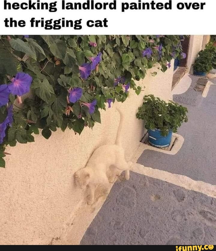 Picture memes Tl9PbN4G6 by aestheticFeli_2014: 270 comments - iFunny