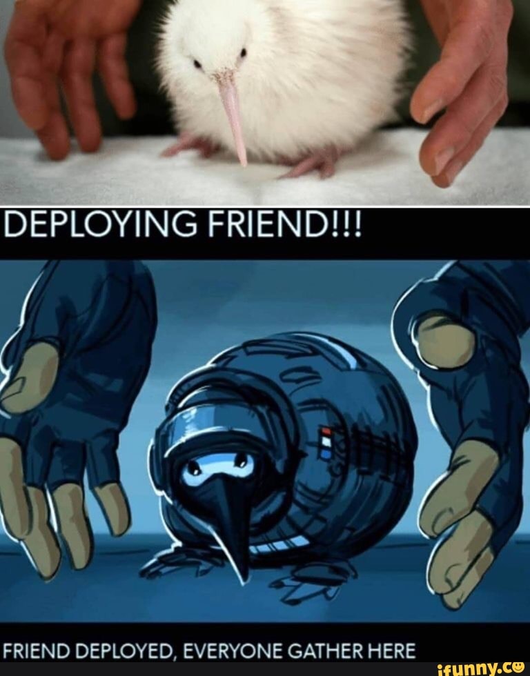 DEPLOYING FRIEND!!! FRIEND DEPLOYED, EVERYONE GATHER HERE - iFunny